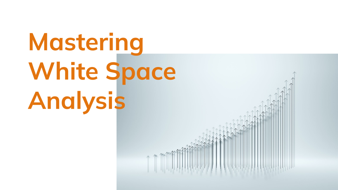 Elevating Business Strategy: Mastering White Space Analysis for ...